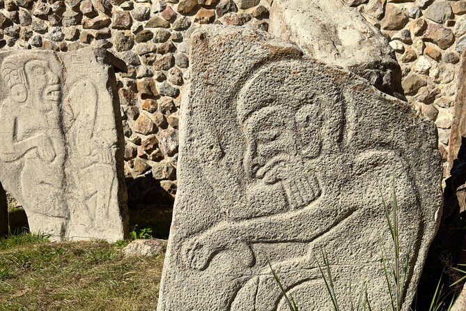 Monte Alban Mitla and More Tour of Oaxaca - The Magnificent Tule Tree: A Natural Wonder