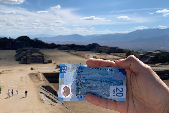 Monte Albán Morning Half-Day Tour Small Group, Transport & Guide - Introduction