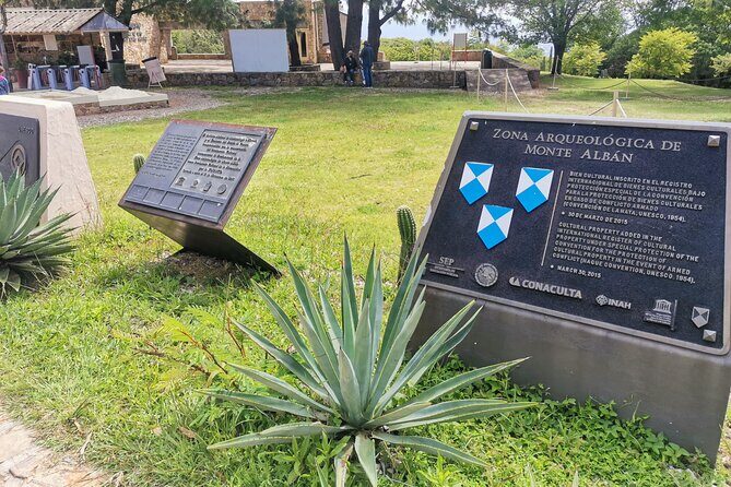 Monte Alban Only - Half Day Guided Tour - Oaxaca - Authentic Experiences and Insights