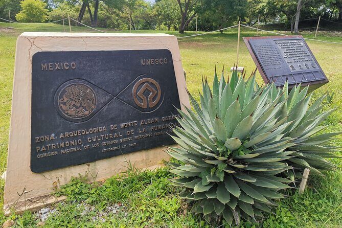 Monte Alban Only - Half Day Guided Tour - Oaxaca - Who Will Love This Tour?