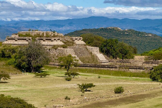 Monte Alban Tree of the Tule Mezcal and Teotitlan del Valle Tour - Who Should Consider This Tour?