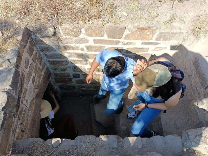Monte Alban Walking Tour - Authentic Insights from Reviewers