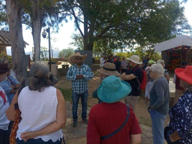 Monte Alban Walking Tour - The Sum Up: Who Will Love This Tour?