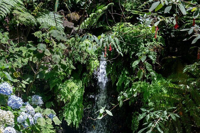 Monte Palace Tropical Garden tour with Cable Car - What’s Included and What’s Not