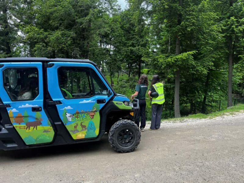 Montebello, QC: Omega Park Guided Animal Feeding in All-Terrain Vehicle - Key Points