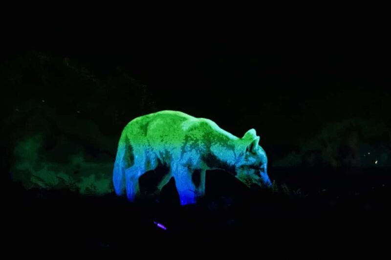 Montebello, QC: Omega Park ONIRO Immersive Experience at Night - The Sum Up: Who Will Love Omega Park ONIRO?
