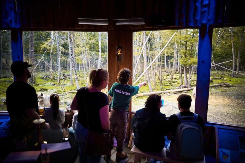 Montebello, QC: Parc Omega Wolves Experience with Cocktail & Guide - Who Is This Tour Best For?