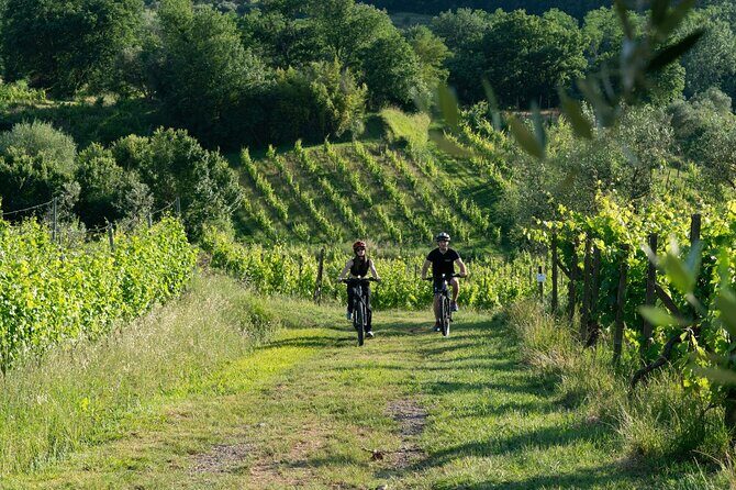 Montecarlo E-Bike One Day Tour with Lunch and Tasting - An Overview of What to Expect