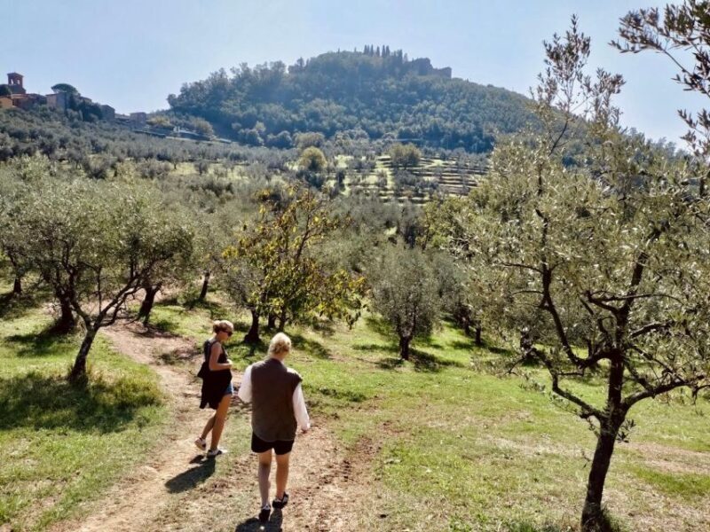 Montecatini Terme: Olive Grove Tour with Oil Tasting - Key Points
