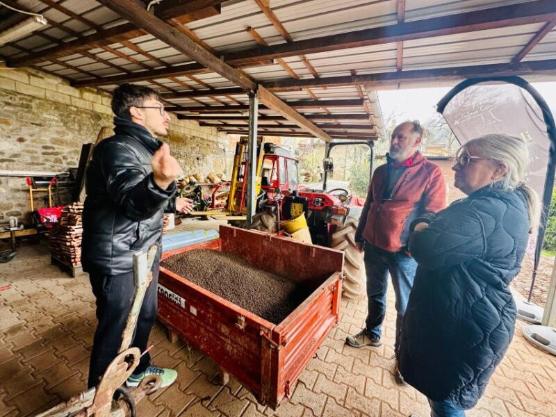 Montecatini Terme: Olive Grove Tour with Oil Tasting - Practical Details: What You Need to Know