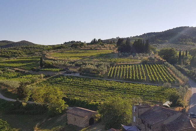 Montefioralle Winery - Tour and Wine Tasting in Chianti - Discovering Montefioralle Winery: An Overview of Whats Included
