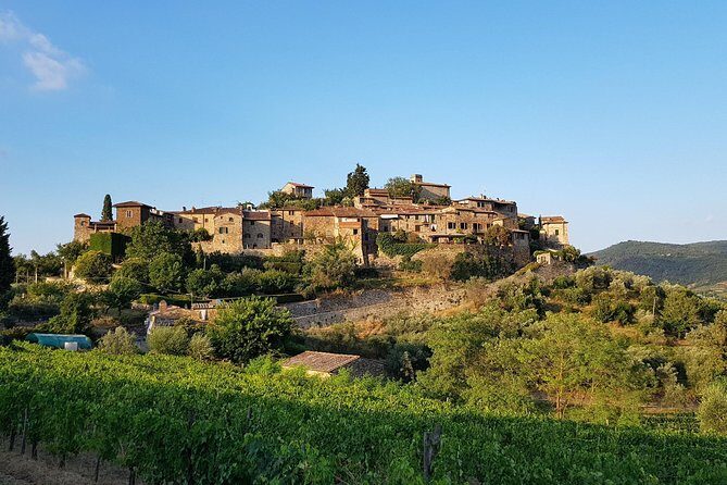 Montefioralle Winery - Tour and Wine Tasting in Chianti - Pricing and Value