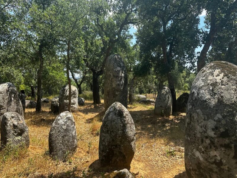 Montemor-o-Novo or Évora: One-Day Tour of Megaliths - Who Will Love This Tour?