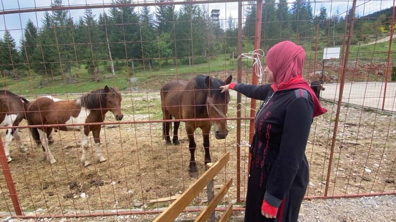 Montenegro Black Lake-Durmitor, Tara (kanyon ,river, bridge) - Key Points
