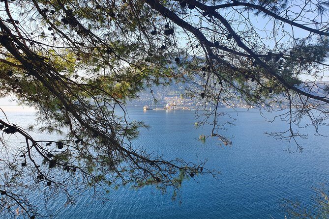 Montenegro Private Tour - How This Tour Excels According to Reviews