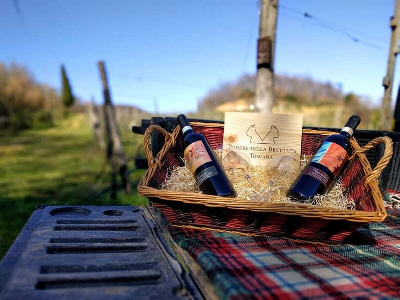 MONTEPULCIANO - PIC NIC WITH WINE! SURROUNDED BY VINEYARDS - What to Expect from This Vineyards and Picnic Tour