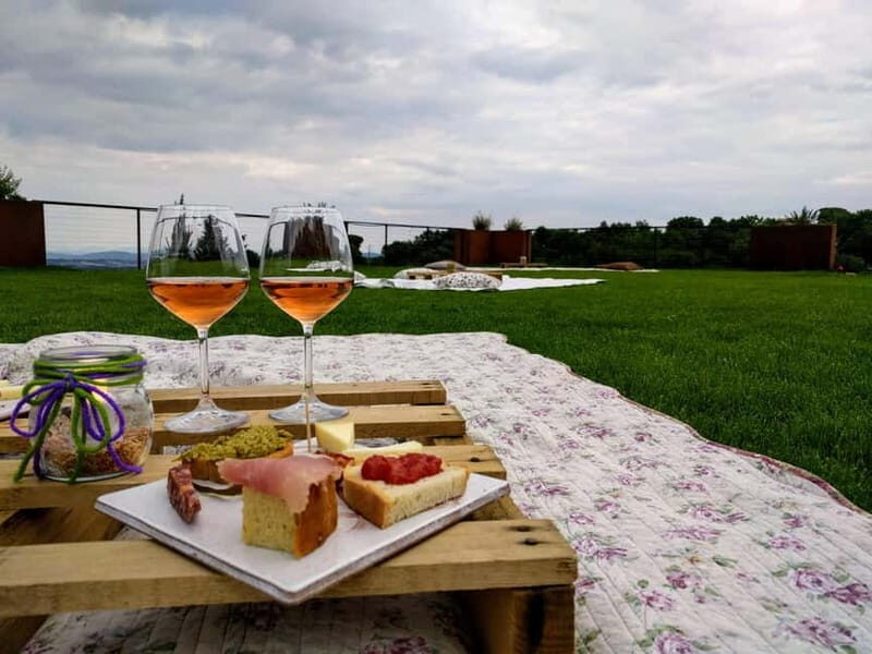 MONTEPULCIANO - PIC NIC WITH WINE! SURROUNDED BY VINEYARDS - Practical Details & Value