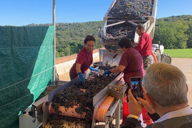 Montepulciano Pienza Montalcino Tour from Florence - The Itinerary Breakdown: What to Expect