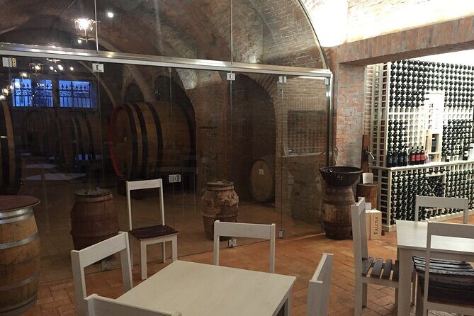 Montepulciano: Wine Tasting & Lunch in a typical winery - An In-Depth Look at the Experience