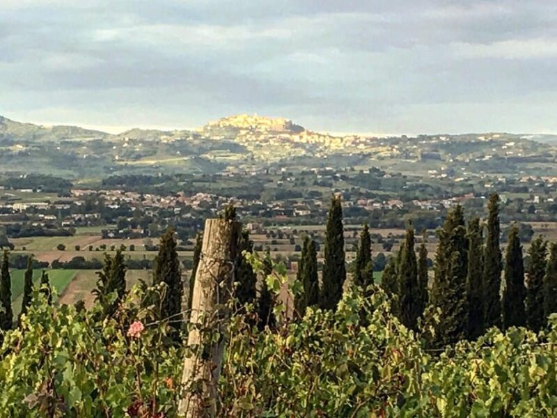 Montepulciano: Wine Tour and tasting - The Experience in Detail