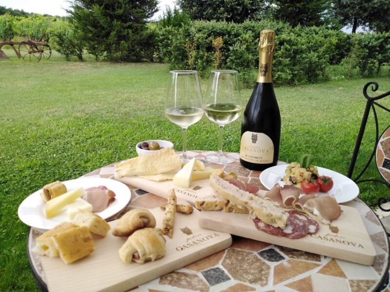 Montepulciano: Winery Tour, Tasting, and Vineyard Picnic - Key Points