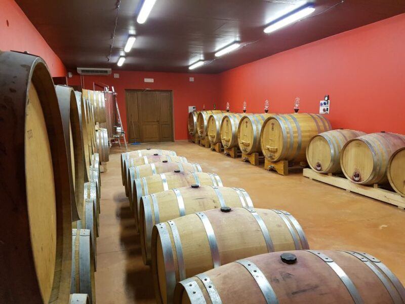 Montepulciano: Winery Tour, Tasting, and Vineyard Picnic - Who Should Consider This Tour?