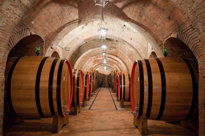Montepulciano: Winery Tour & Tasting Experience - An In-Depth Look at the Montepulciano Winery Tour & Tasting