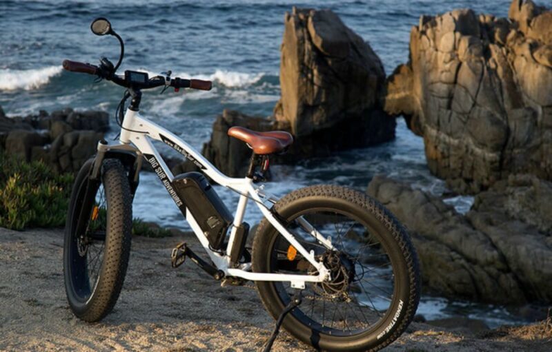 Monterey: 17-Mile Drive Guided E-Bike Tour - Key Points