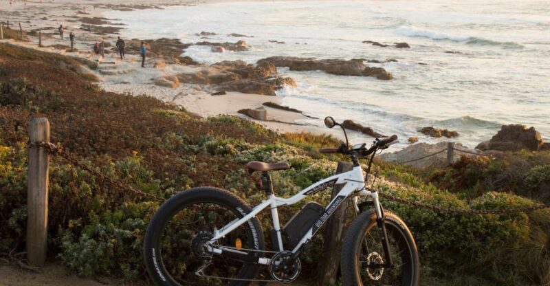 Monterey and 17 Mile Drive: Half-Day Electric Bike Rental - An In-Depth Look at the Tour Experience