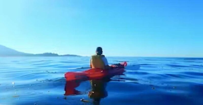 Monterey: Pebble Beach Kayak Tour - Key Points