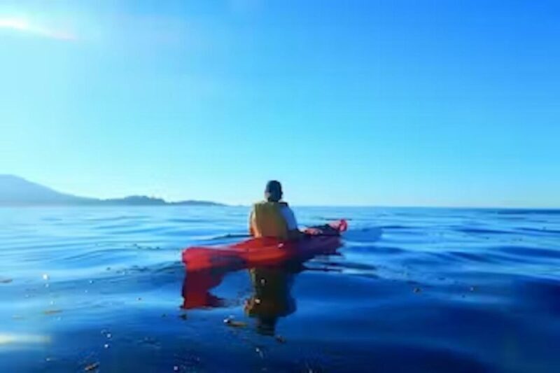 Monterey: Pebble Beach Kayak Tour - The Itinerary and What You Can Expect