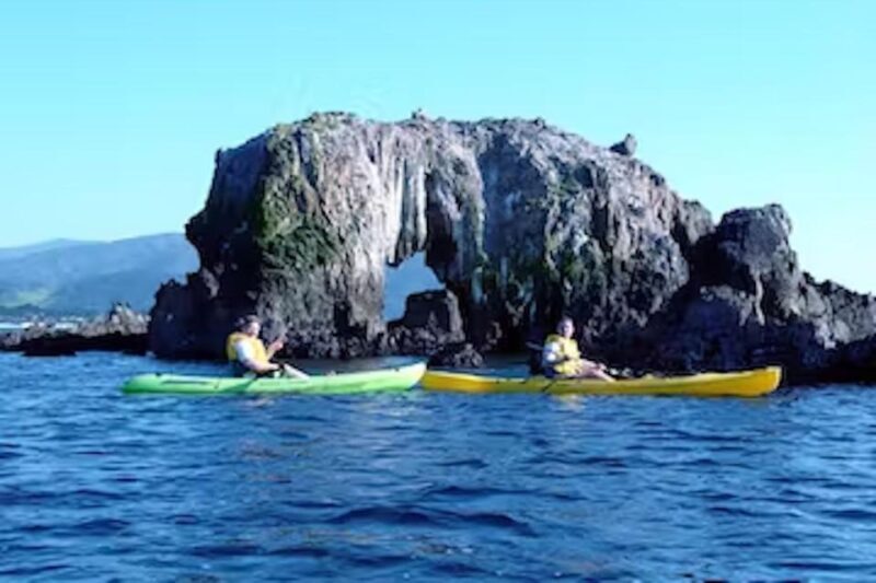 Monterey: Pebble Beach Kayak Tour - The Experience Provider and Group Size