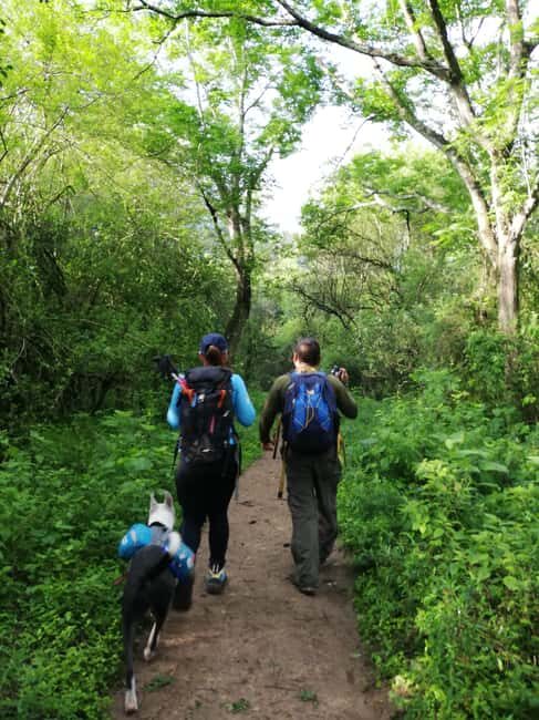 Monterrey: Enjoy a refreshing water crossing Cerro Agujerado - Practical considerations and tips