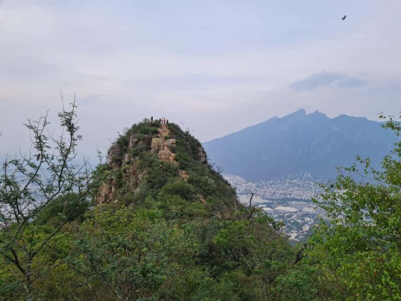 Monterrey: Pet-friendly hiking in Cerro del Chupón - An Overview of the Cerro del Chupón Hiking Experience