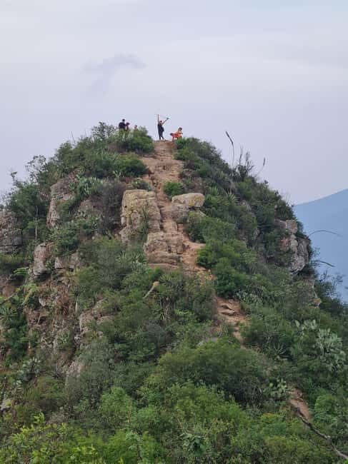 Monterrey: Pet-friendly hiking in Cerro del Chupón - Who Is This Tour Best Suited For?