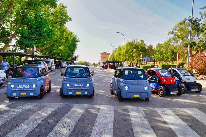 Montes de Málaga Gastronomic Tour by Electric Car - FAQs