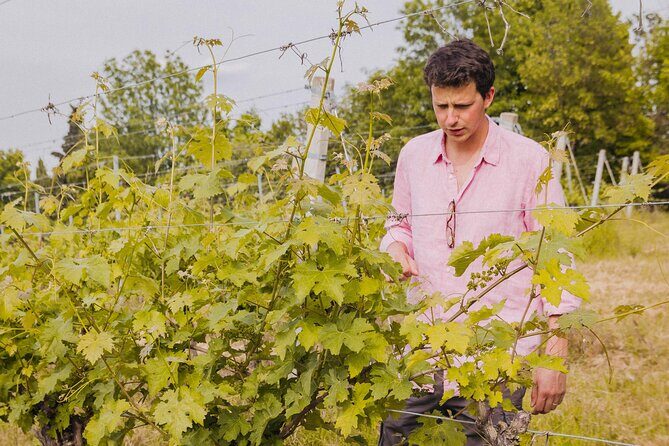 Montevecchio Isolani wine tasting experience - Who Will Love This Tour?