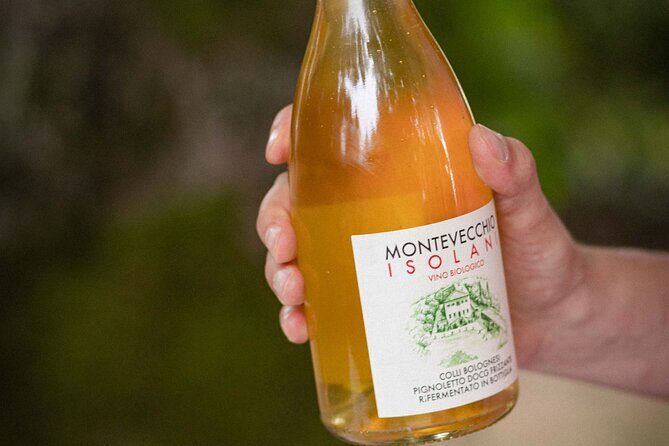 Montevecchio Isolani wine tasting experience - The Sum Up