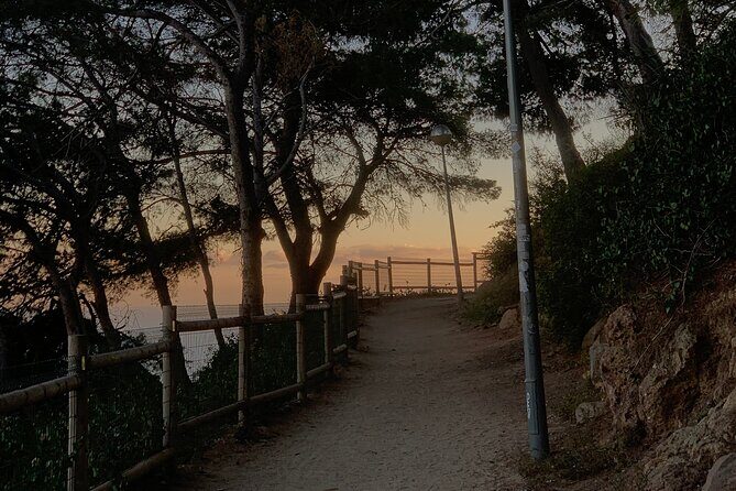 Montjuïc Magic: Hidden Pathways, Vermut Delights & Sunset Bliss - Who Should Book This Tour?