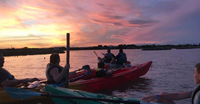 Montpellier : Birdwatching by kayak in the Camargue - The kayaking route and wildlife highlights