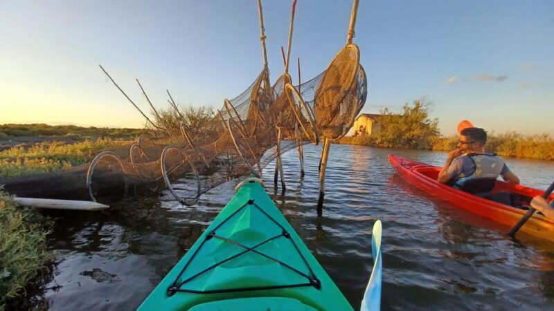 Montpellier : Birdwatching by kayak in the Camargue - Who will love this?  