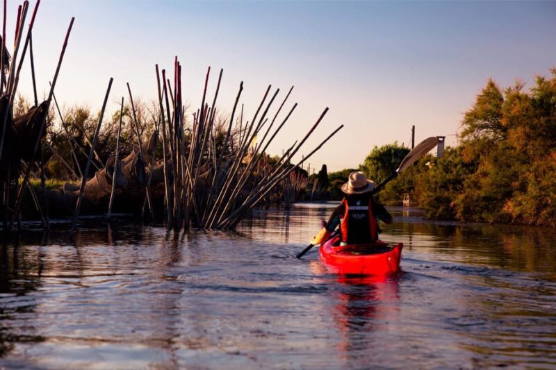 Montpellier : Birdwatching by kayak in the Camargue - Who might want to consider other options?  