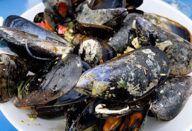Montpellier : half-day trip walking tour in Sète and oysters - Key Points