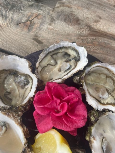 Montpellier: Half-Day Wine Tour with Lunch - The Oyster Experience