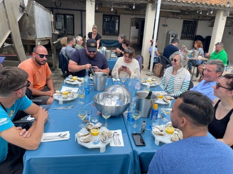 Montpellier: Half-Day Wine Tour with Lunch - The Vineyard and Wine Tastings