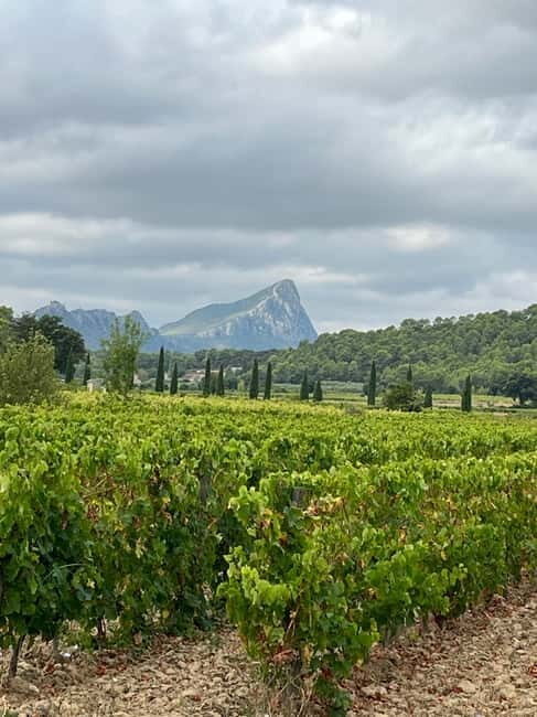 Montpellier: Pic Saint-Loup Wine Tour - Introduction: Why This Tour Stands Out