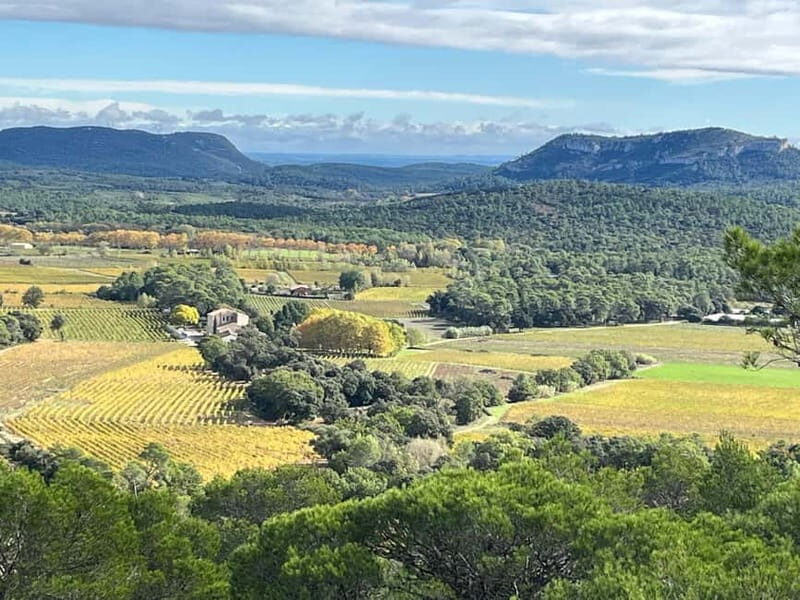 Montpellier: Pic Saint-Loup Wine Tour - FAQ
