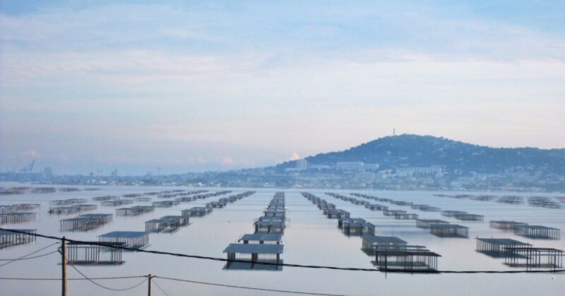 Montpellier Wine and Oyster Tour - Practical Tips for the Tour