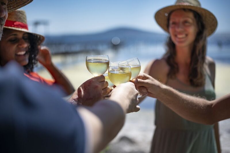 Montpellier Wine and Oyster Tour - Who This Tour Is Best For