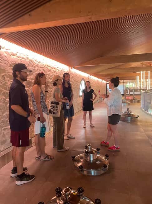 Montpellier : Wine Tour Pic St Loup - An In-Depth Look at the Experience
